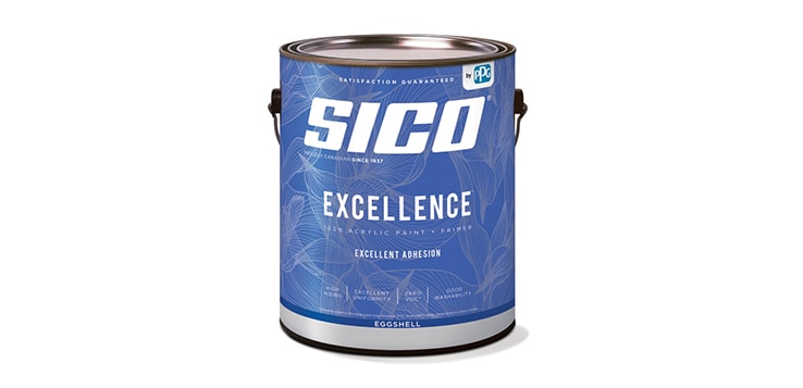 Home Fall Indoor Care | Fall into Fall Projects