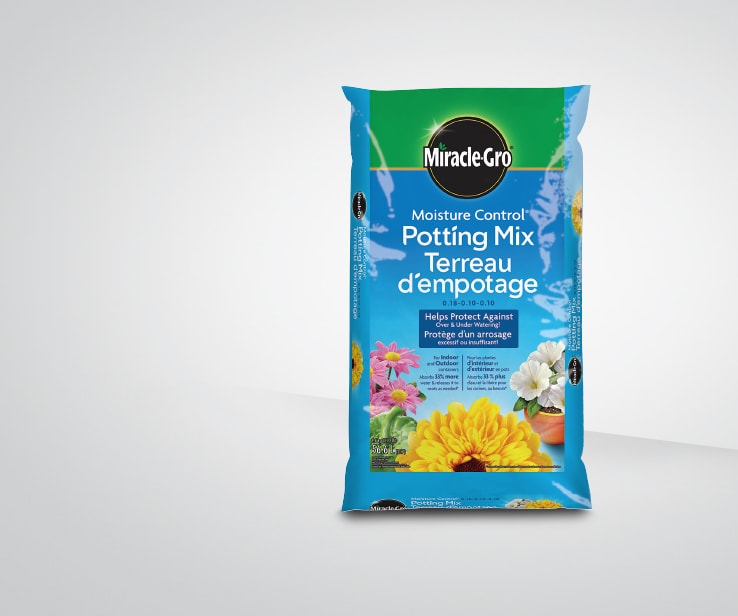 5 Easy Steps for an Effective Fall Outdoor Care | RONA