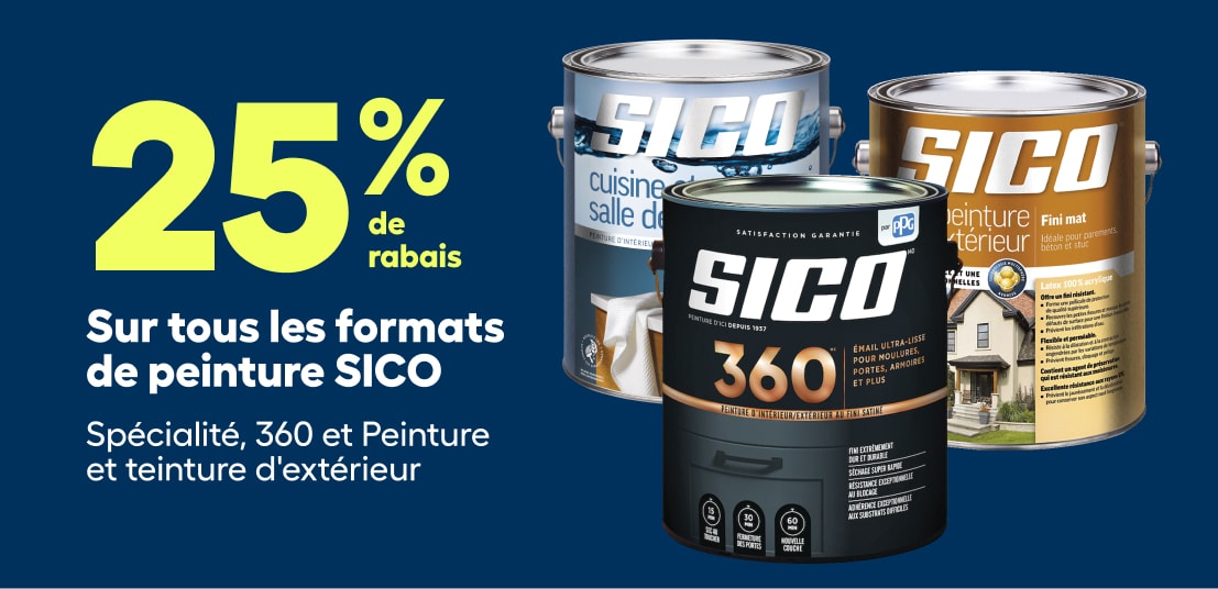 Peinture d'intérieur | Sico, Avanti, Boomerang et plus