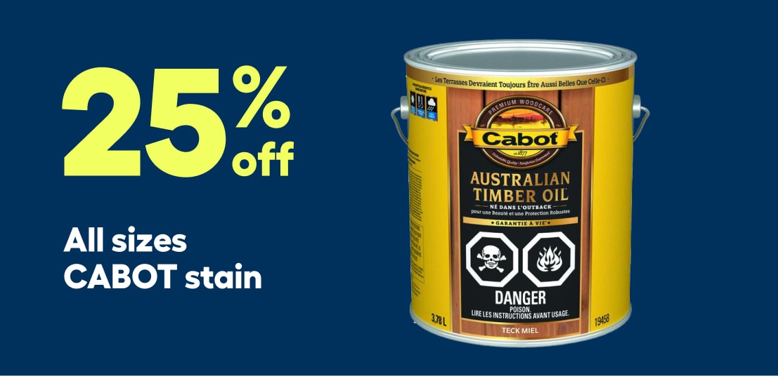 Sprayers and Heat Guns - Paint | RONA