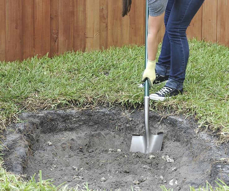 DIY Guide: How to Build a Backyard Fish Pond | RONA