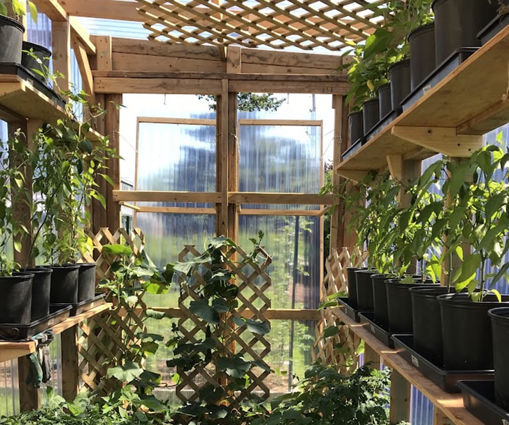 DIY Guide: How to Build Your Own Backyard Greenhouse | RONA