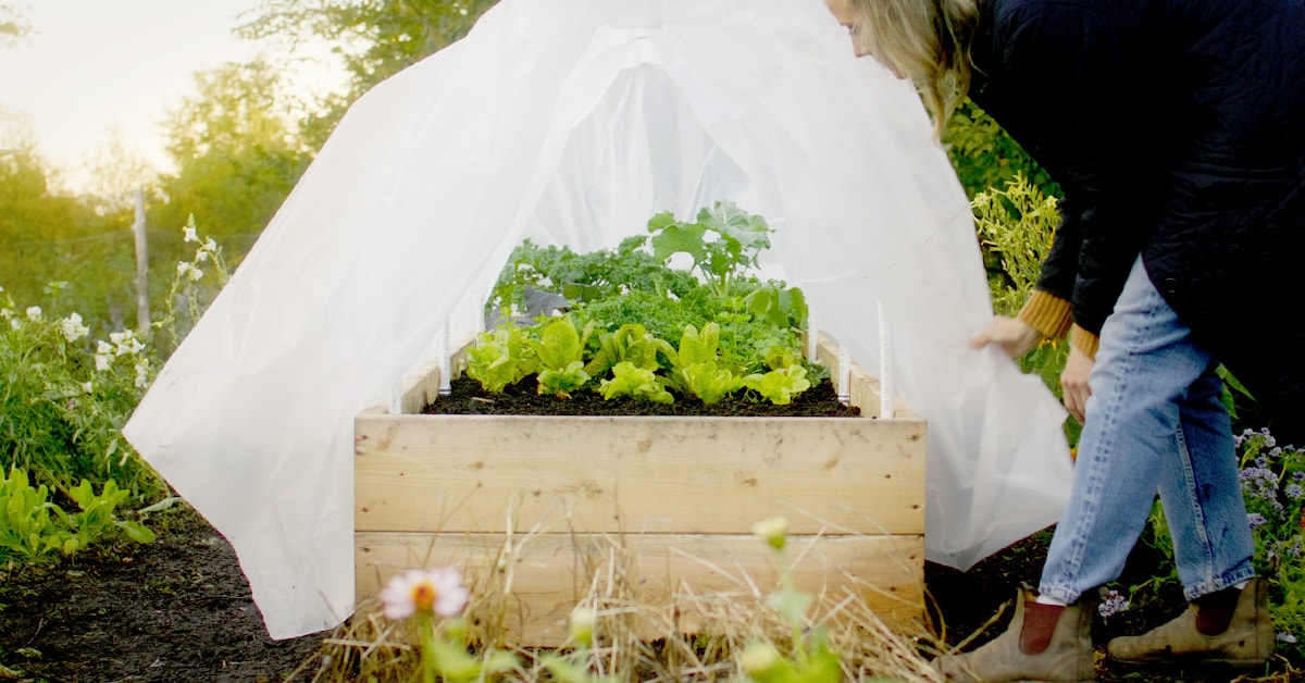 How to Build a Grow Tunnel for Your Garden | RONA