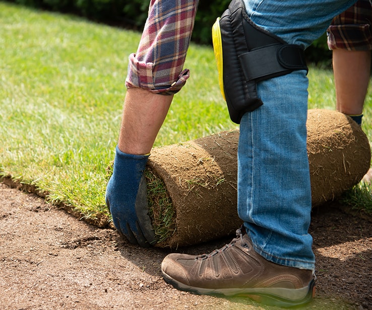 DIY Guide: How to Lay Sod for a Perfect Lawn | RONA