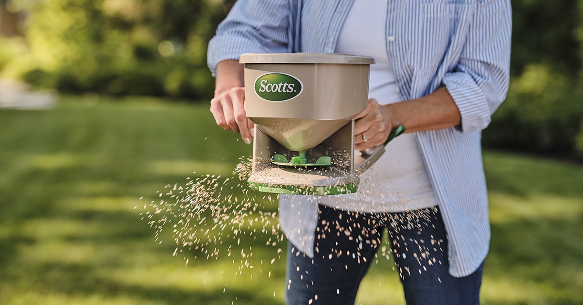 How to Remove and Reseed a Lawn | RONA