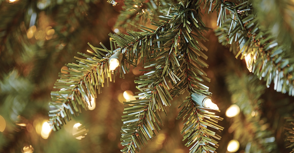 Choisir l’arbre de Noël idéal | RONA