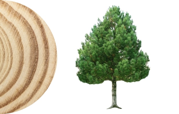 Guide d’achat : les différents types de bois de construction | RONA