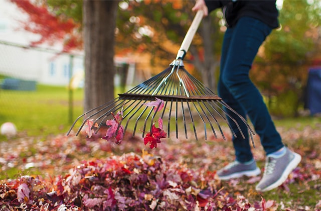 Fall Garden Care in 8 Simple Steps | RONA