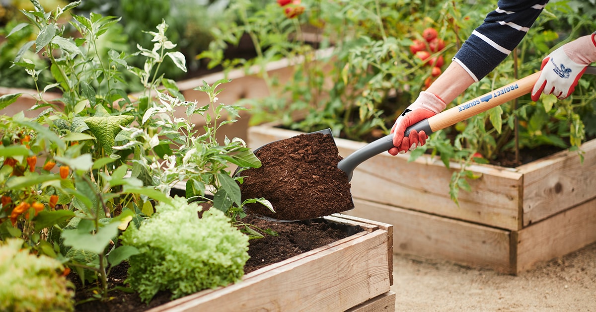 How to Grow an Organic Vegetable Garden | RONA