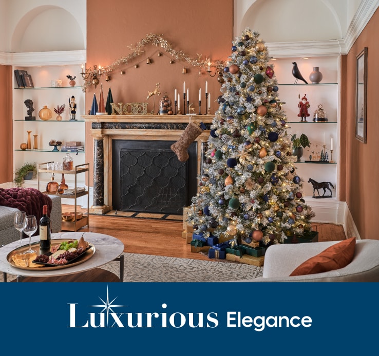 2022 Christmas Decorations - Lights, Christmas Trees & More | RONA