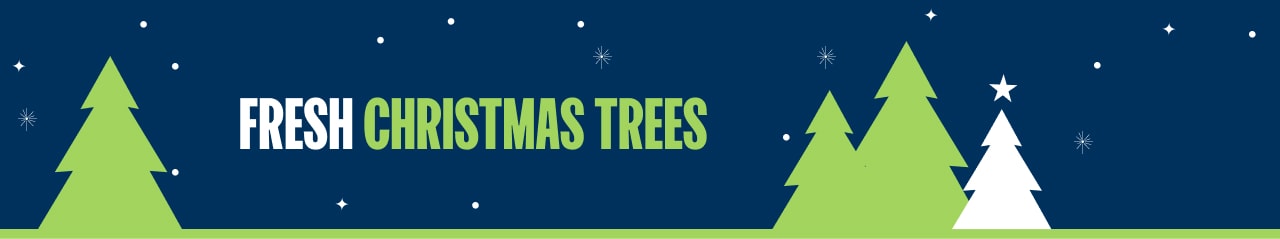 2022 Christmas Decorations - Lights, Christmas Trees & More | RONA