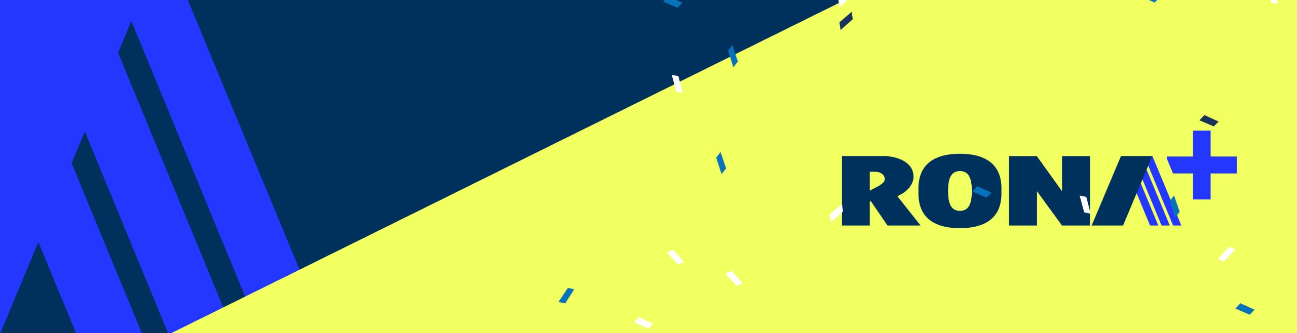 lowes_rona_conversion | RONA