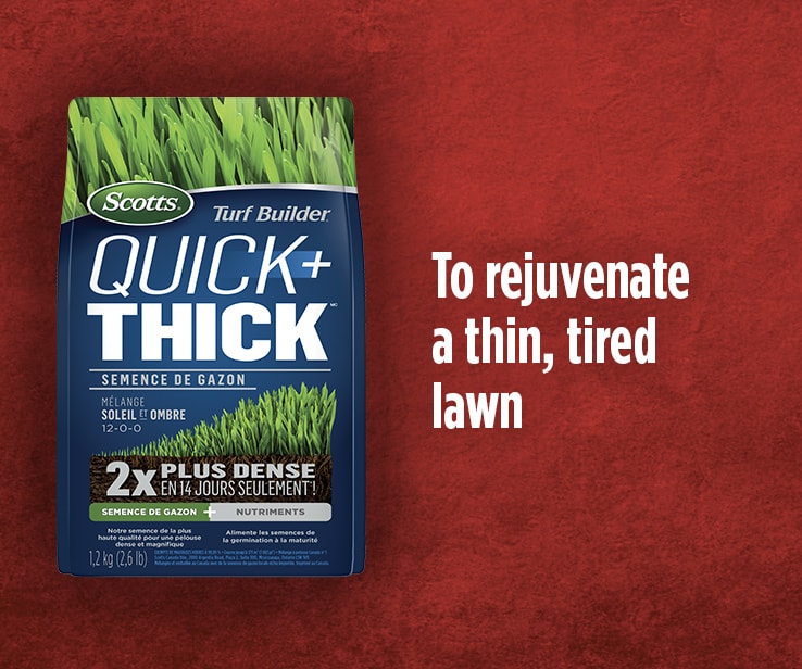 Scotts Products at RONA | Fertilizer, Seed, Protection & More