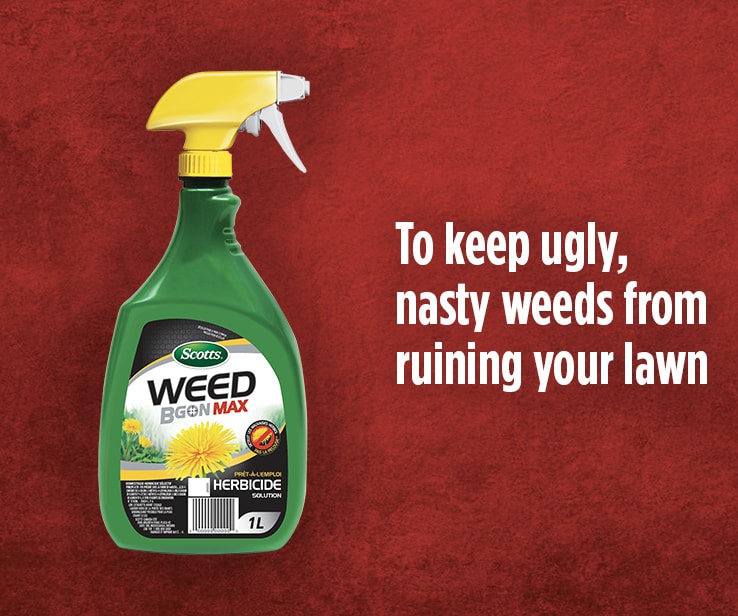 Scotts Products at RONA | Fertilizer, Seed, Protection & More