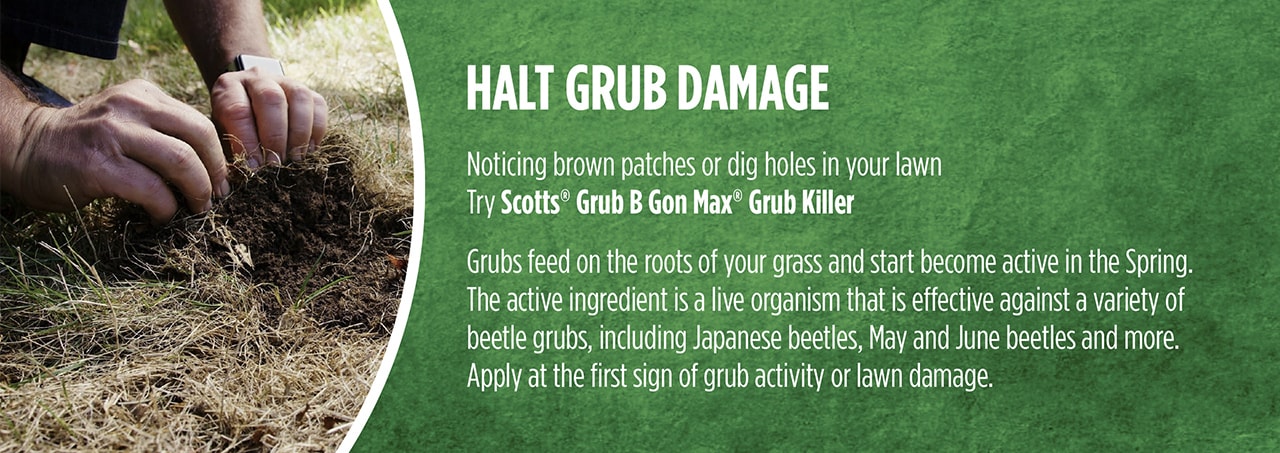 Scotts Products at RONA | Fertilizer, Seed, Protection & More