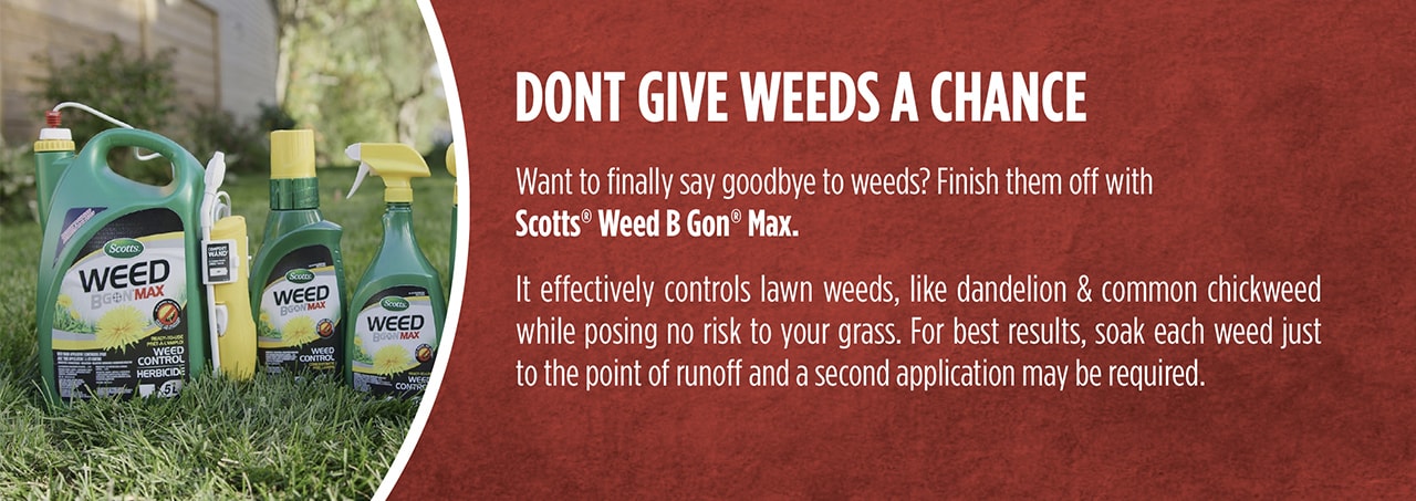 Scotts Products at RONA | Fertilizer, Seed, Protection & More