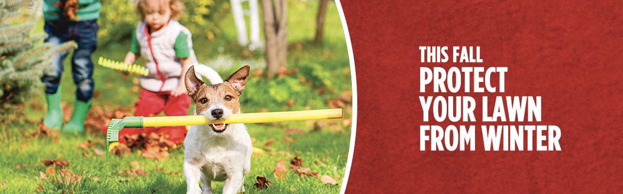 Scotts Products at RONA | Fertilizer, Seed, Protection & More