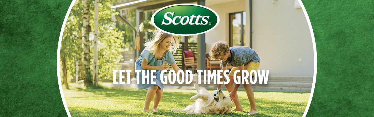 Scotts Products at RONA | Fertilizer, Seed, Protection & More