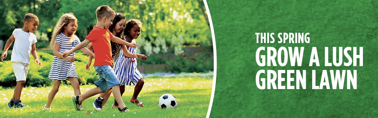 Scotts Products at RONA | Fertilizer, Seed, Protection & More