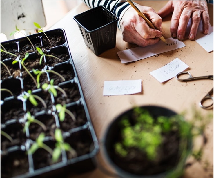 Spring Event: The Sale for Your Outdoor Essentials | RONA