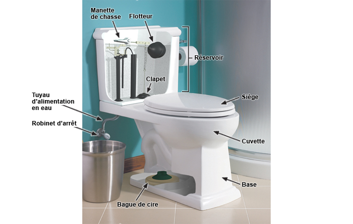 Les toilettes - Guides d'achat | RONA